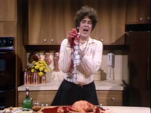 12.2.1978_0.14.36.00 – The 'One SNL a Day' Project