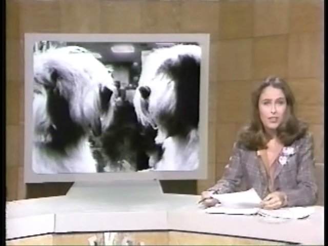 February 14, 1981 – Deborah Harry (S6 E10) – The 'One SNL a Day' Project